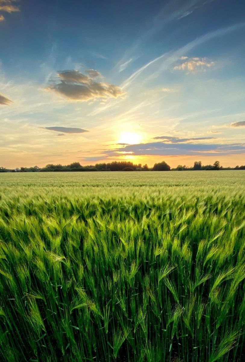 성경진리사역원(BTMK) | 2023년 여름 전국 어린이 봉사자 및 학부모 집회 안내